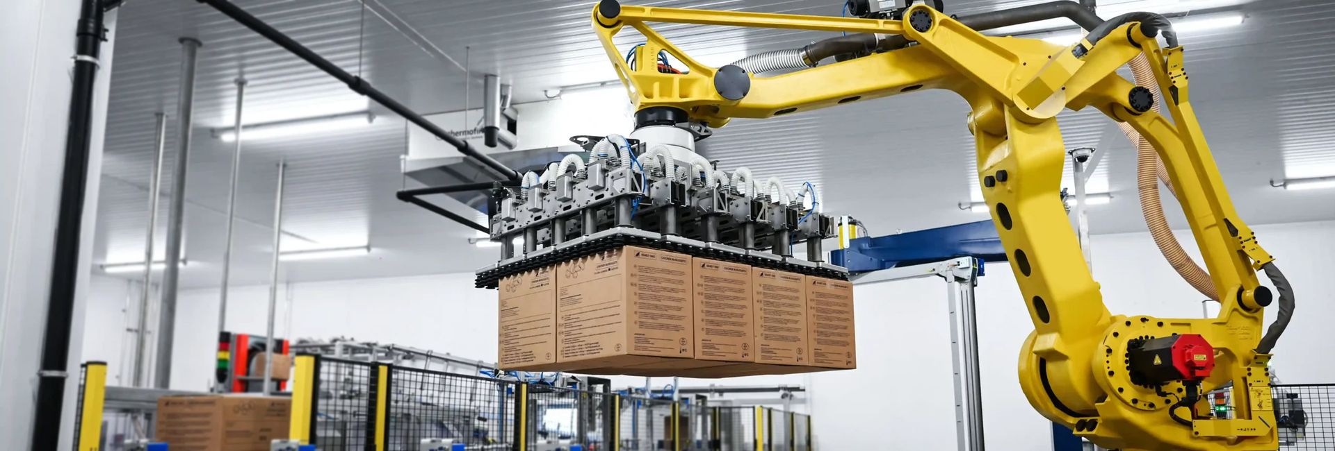 Robot Industries - Palletizing Robots